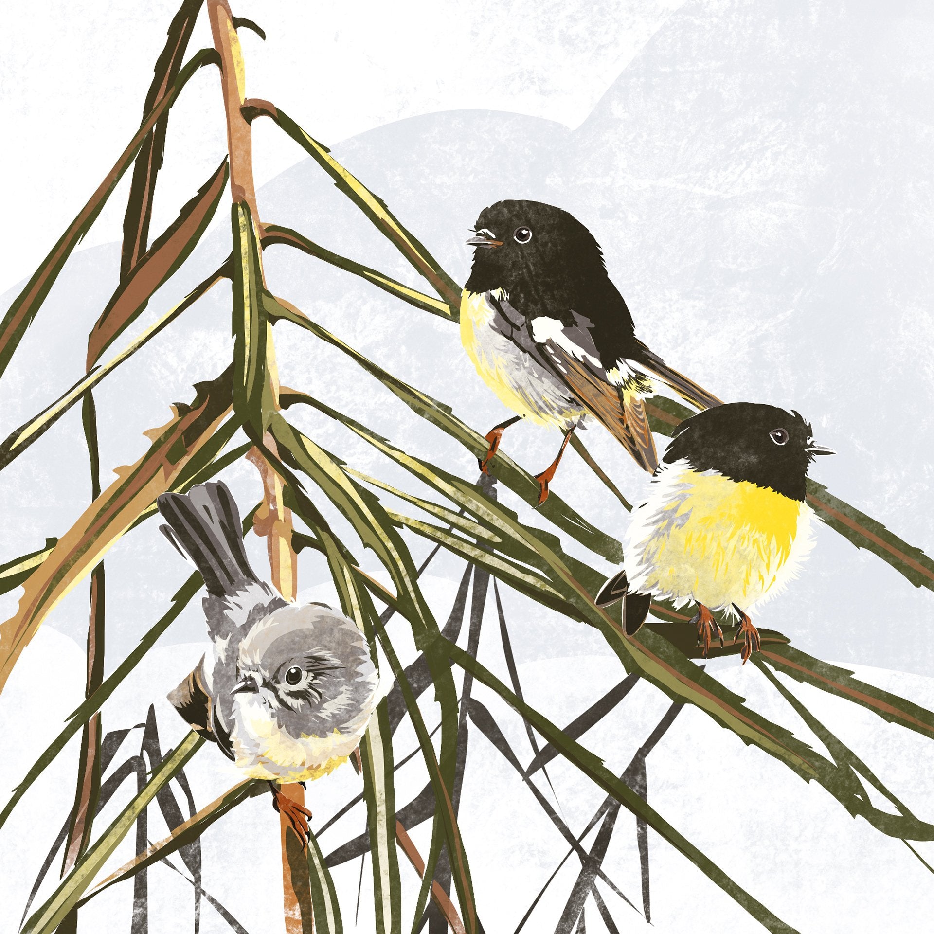 Emma Kate – Vesta Design Boutique Ltd